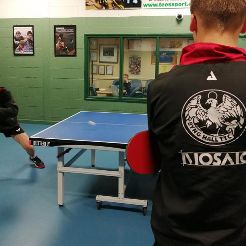 Sponsoring Byng Hall Table Tennis Club - Mosaic